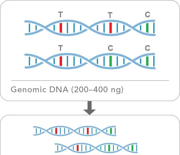 The future of ‘next generation’ DNA sequencing | Business | Chemistry World