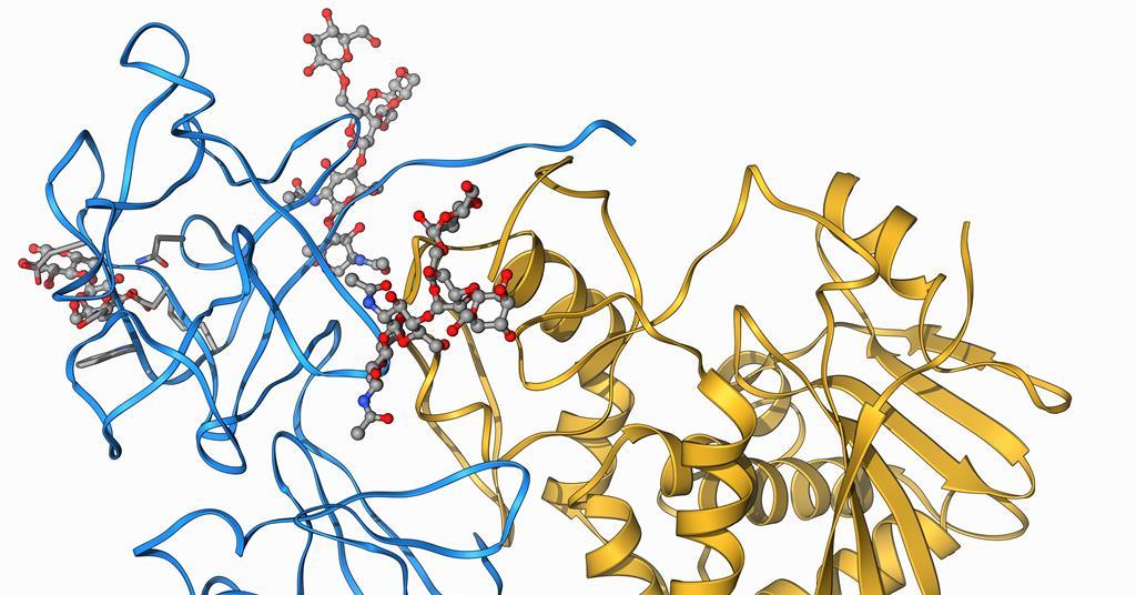 Explainer: what is ricin? | News | Chemistry World