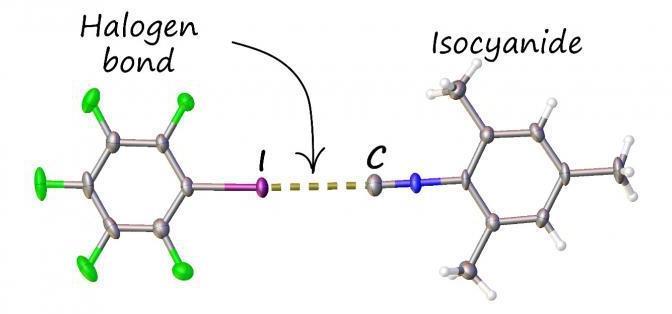 ‘Godzilla’s gym socks’ molecules' stench tamed by halogen bond ...