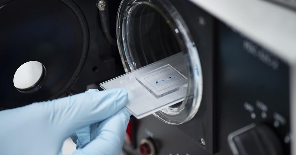 Research and regulations face-up to a new era of non-animal testing ...