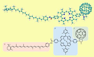 Chemical compass clue to migration mystery | News | Chemistry World