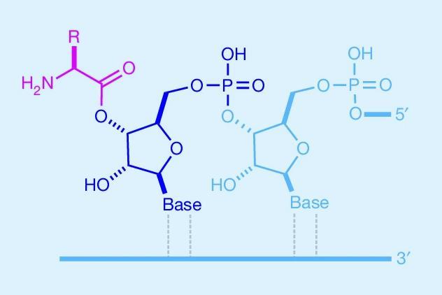 thioester world hypothesis