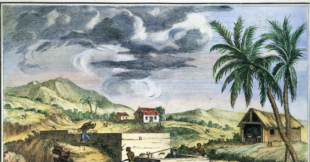 Indigo Plantations Slavery