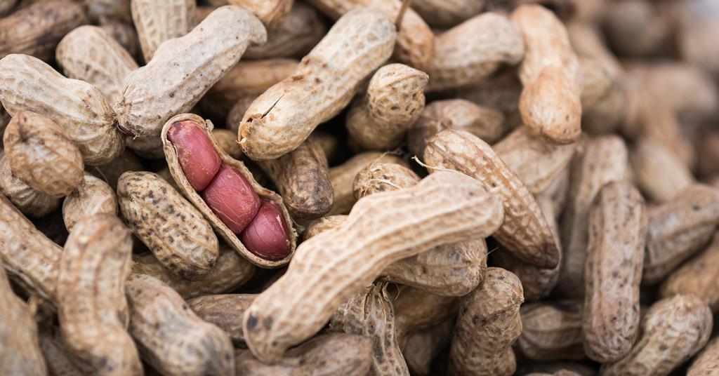 Aflatoxins | Podcast | Chemistry World