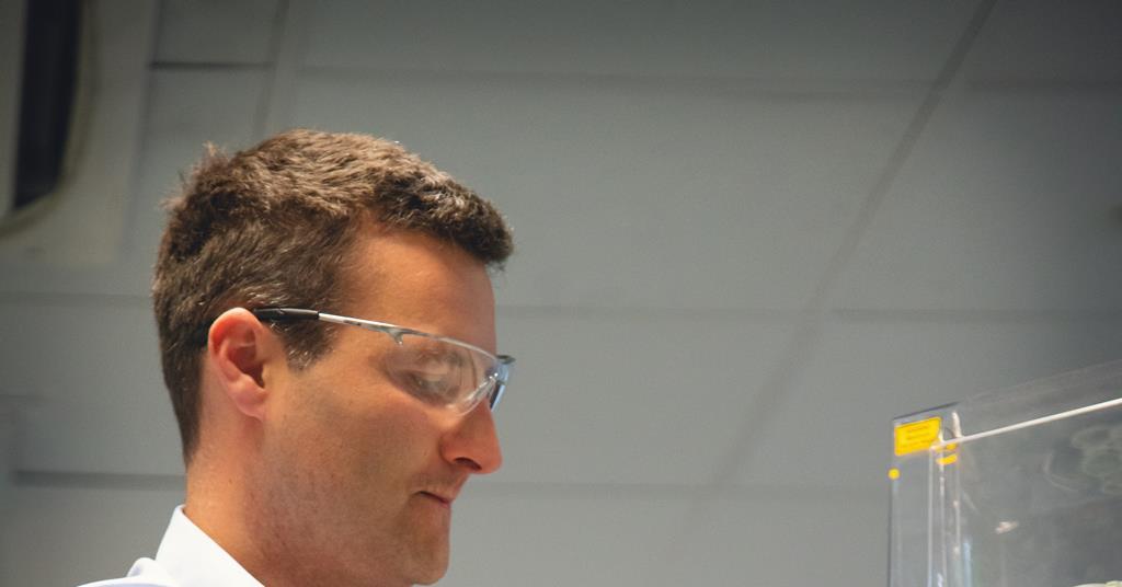 Adding constraints to understand life’s chemical origins | Research ...