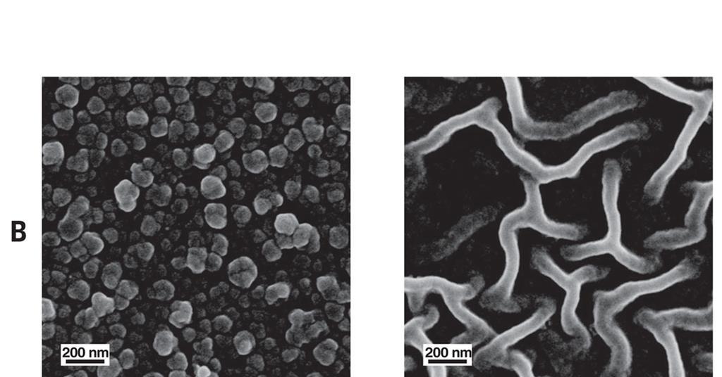 Turing Patterned Membrane Takes On Water Purification Research