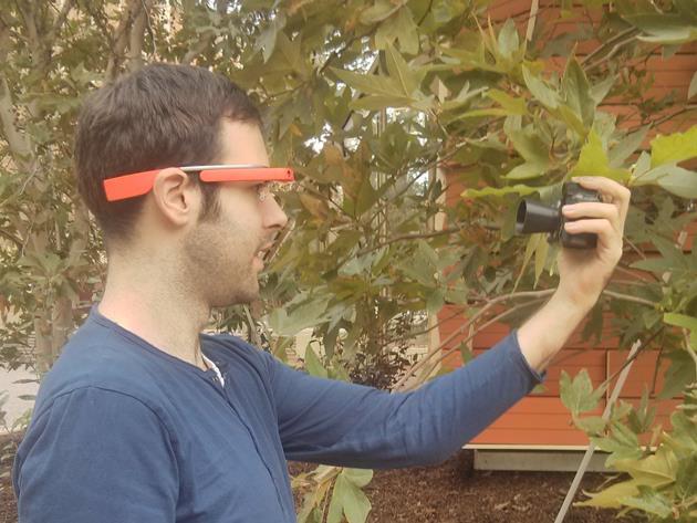 Google Glass to monitor plant health | Research | Chemistry World