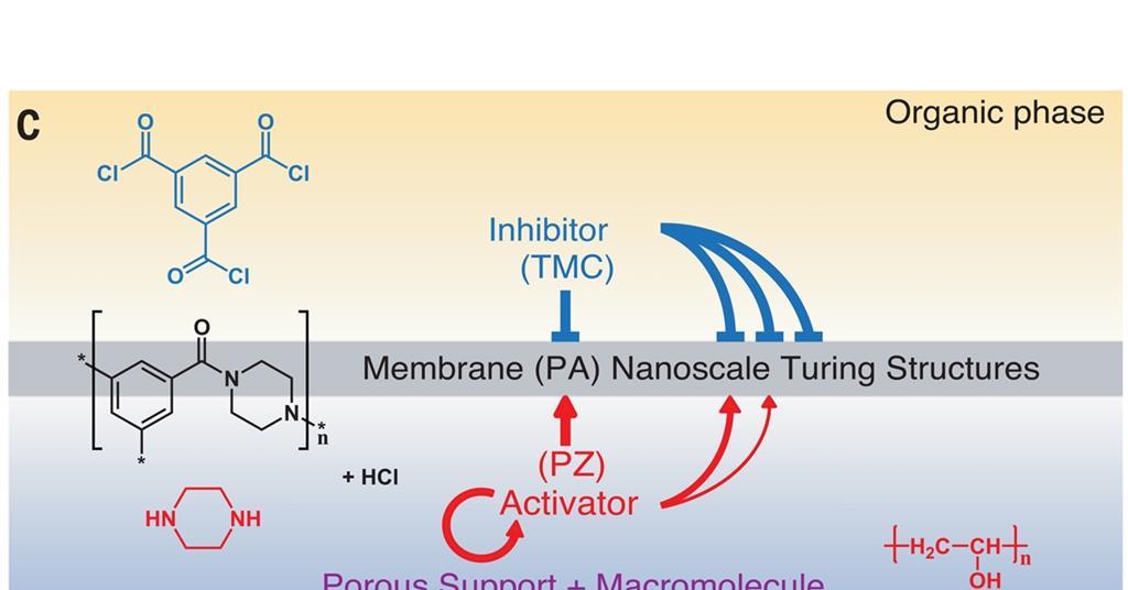 Turing patterned membrane takes on water purification | Research ...
