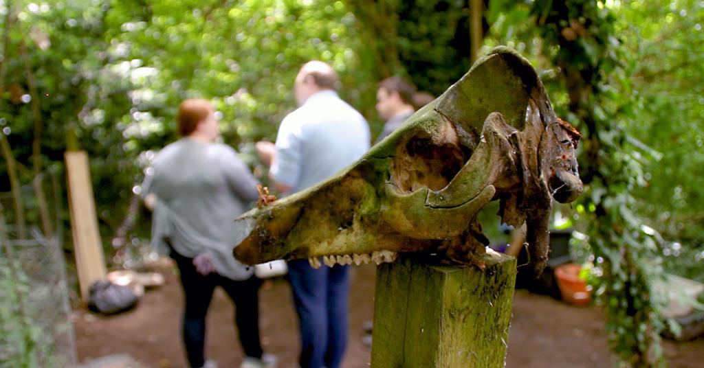 University Of Hogansburg Body Farm