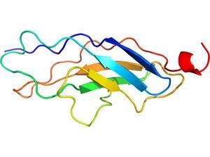 Titin | Podcast | Chemistry World