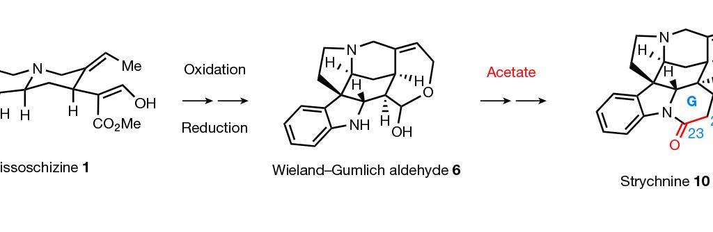 Mystery of how plants make strychnine solved 75 years after ...