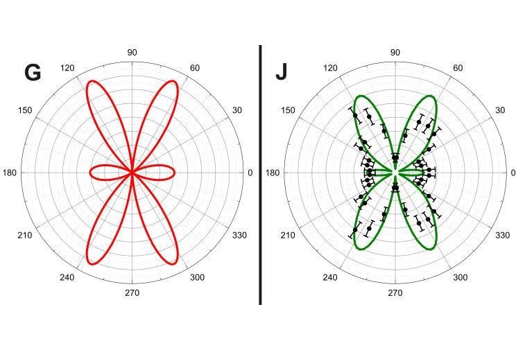 First pictures of hydrogen molecule wave function unveiled | Research ...