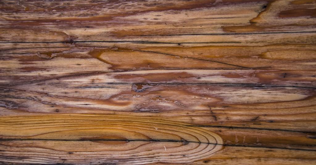 Lignin In Wood