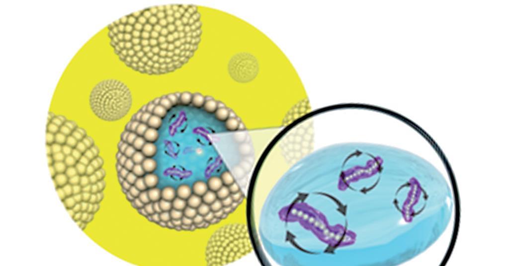 Magnetic bacteria stir reaction in droplet microreactor | Research ...