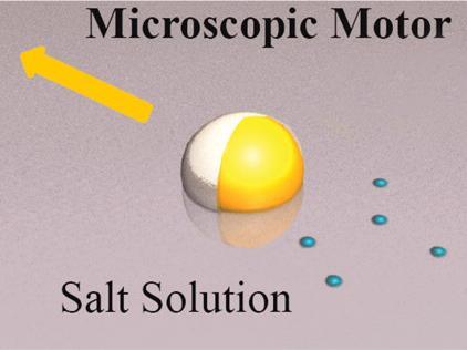 Bio-friendly micro-motors propelled by polymers | Research | Chemistry ...
