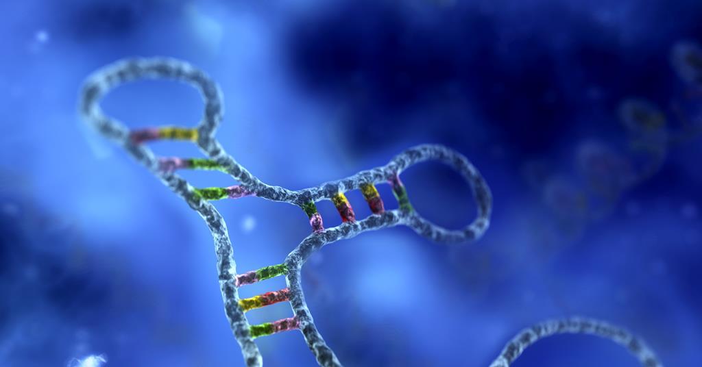 Breaking the silence of RNA interference drugs | Business | Chemistry World