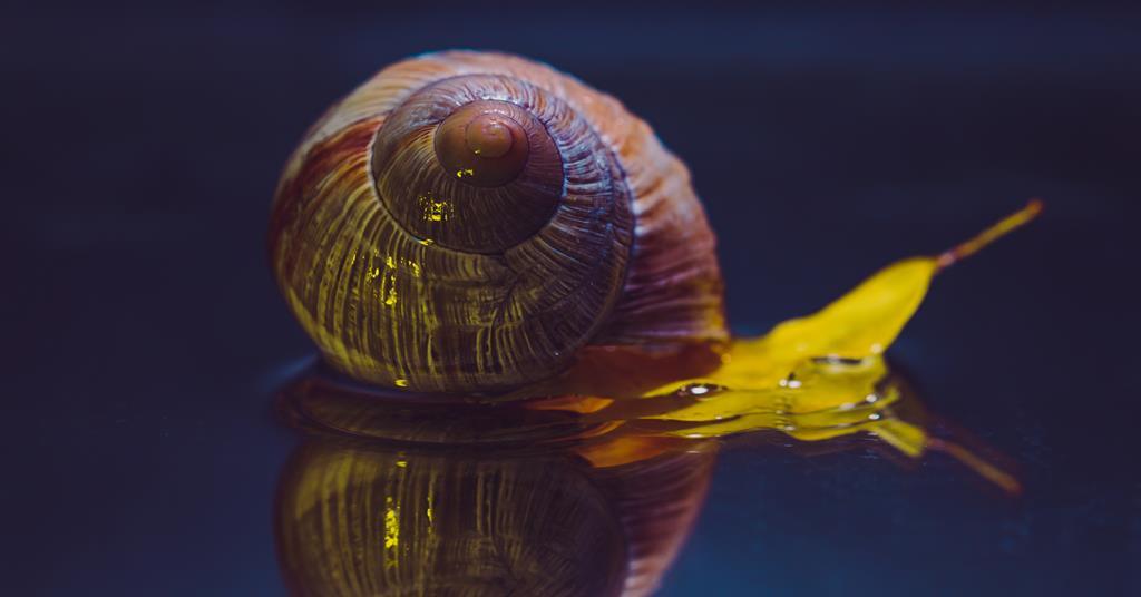 Formation of chiral centres monitored in real time | Research ...