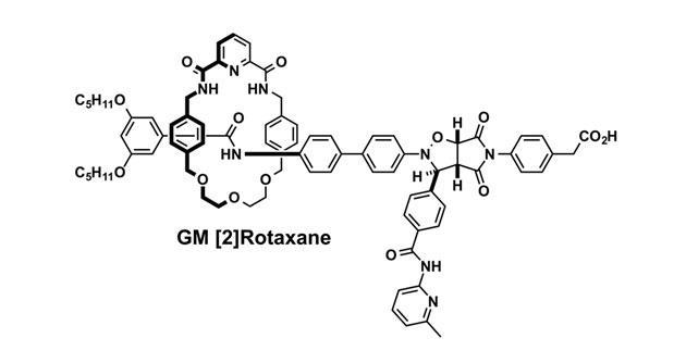 Rotaxane raises the bar for self-replicating chemical systems ...
