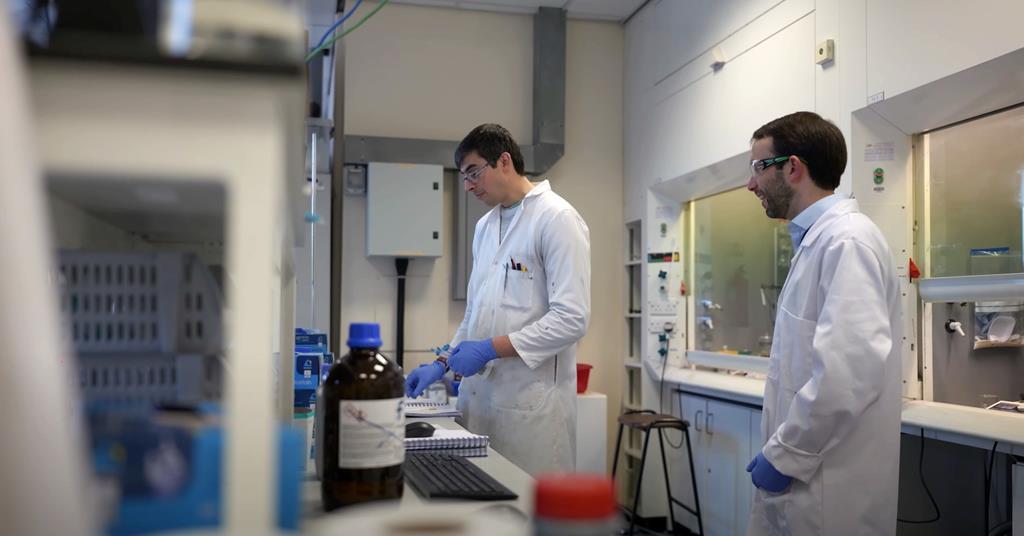 Bismuth chemistry revival synthetic pathways for drugs and ...