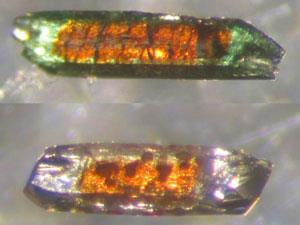 Crystal within a crystal | Research | Chemistry World