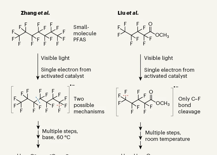 Visible light-powered catalysts clean up ‘forever chemicals’ | Research ...