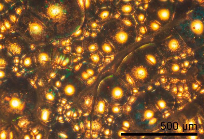 Ancient Roman glass fragment changed from green to gold over time ...