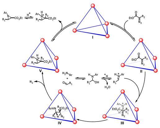 The hole story of how cage molecules could transform synthesis and ...