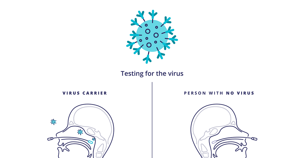 Explainer: The science of Covid-19 testing | News | Chemistry World