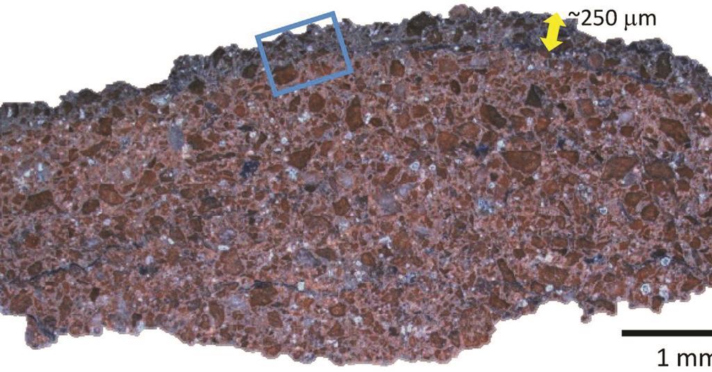 Mystery of black blotches on Smithsonian museum cleared up | Research ...