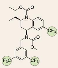 Fluorine fanatics | Opinion | Chemistry World