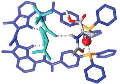 Cofactor control of catalysis enantioselectivity | News | Chemistry World