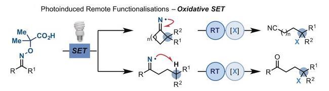 Nitrogen radical chemistry sees the light | Research | Chemistry World