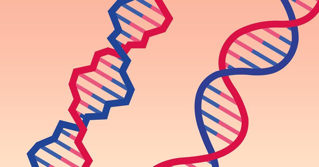 More than a mirror-image: left-handed nucleic acids | Feature ...