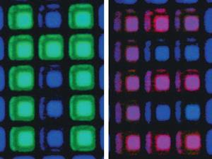 Molecular computer calculates Ebola diagnosis | Research | Chemistry World