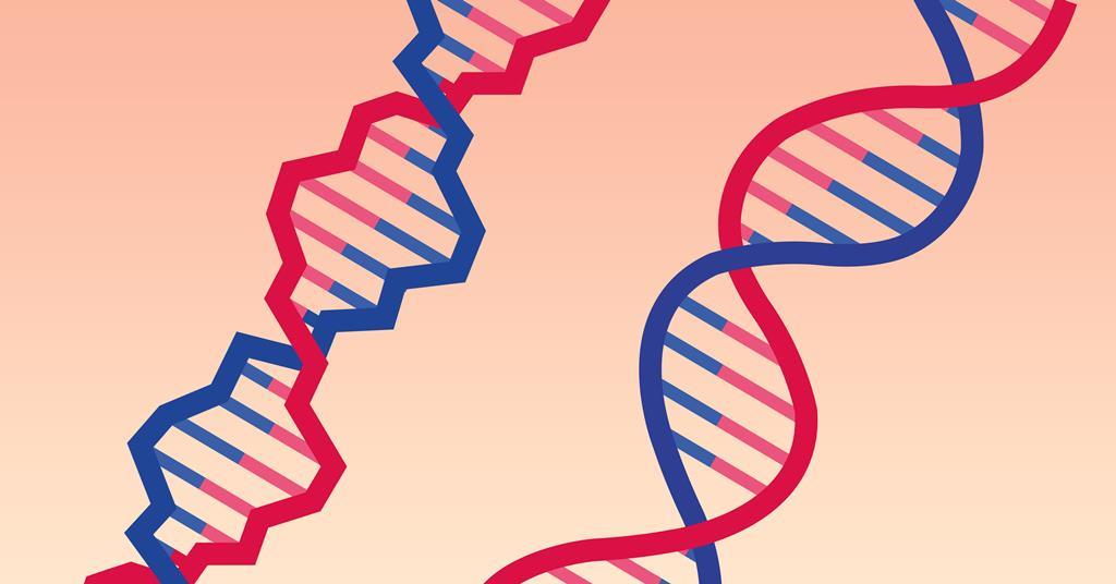 More than a mirror-image: left-handed nucleic acids | Feature ...
