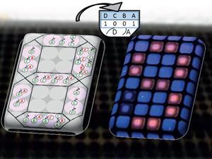 Molecular computer calculates Ebola diagnosis | Research | Chemistry World