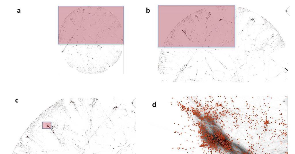 AI tool could save on animal tests | Research | Chemistry World