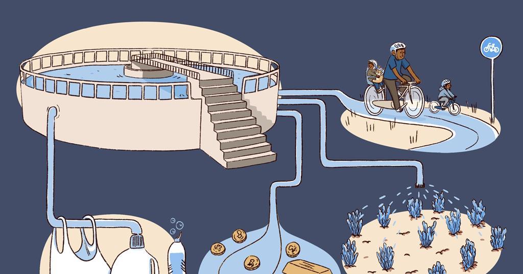 Sewage sells: the hidden value of wastewater | Feature | Chemistry World