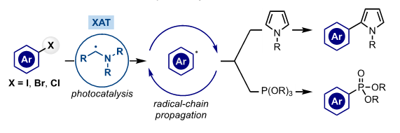 Nitrogen radical chemistry sees the light | Research | Chemistry World