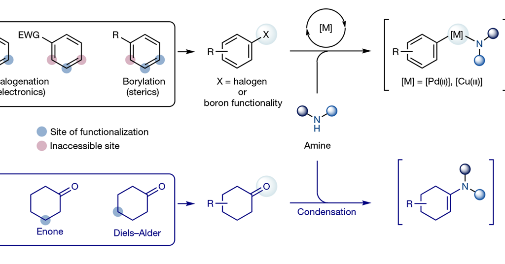 Nitrogen radical chemistry sees the light | Research | Chemistry World