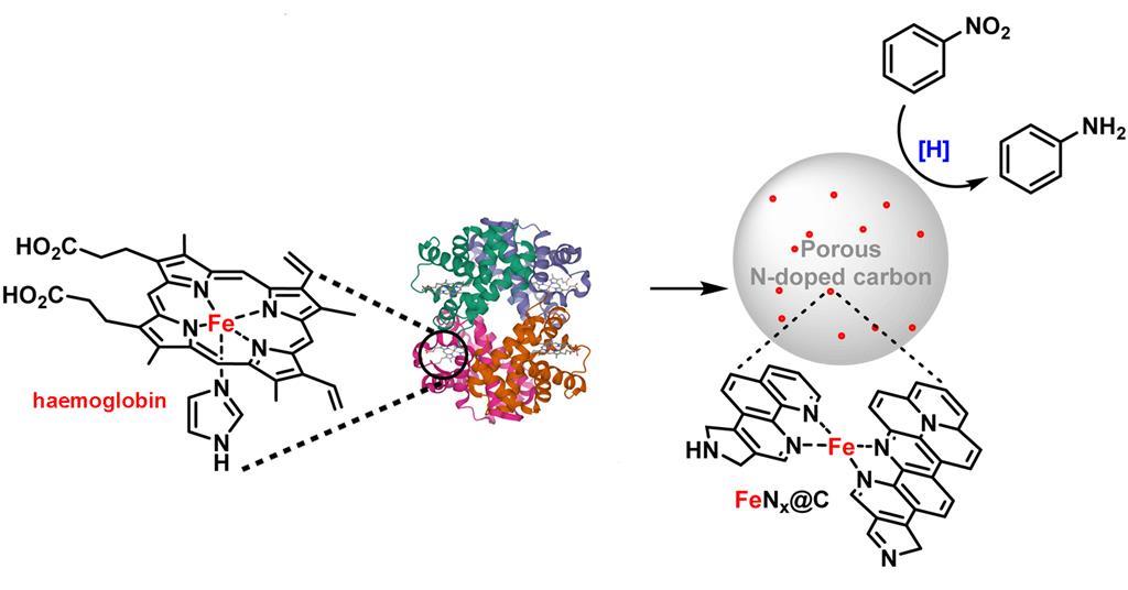 Blood could supply haem centre for biomass-supported catalyst ...