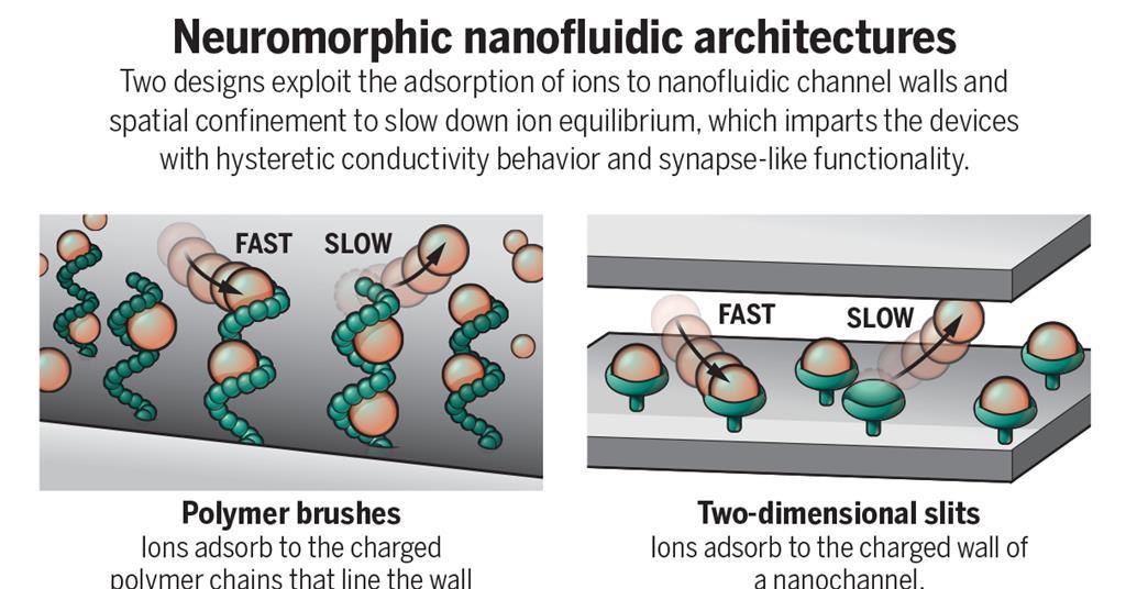 Fluidic chemical systems can mimic the way the brain stores memories ...