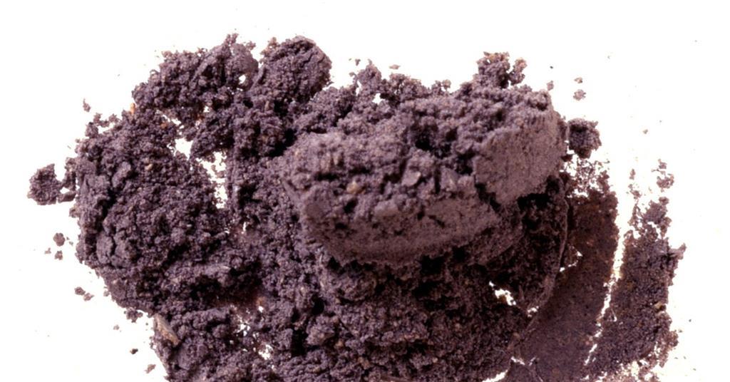 Colourant chemistry identifies ancient Greek workshop for Tyrian purple ...