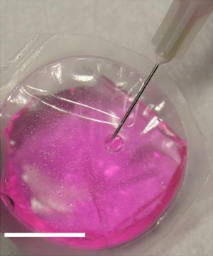 Bubble wrap could send lab costs packing | Research | Chemistry World