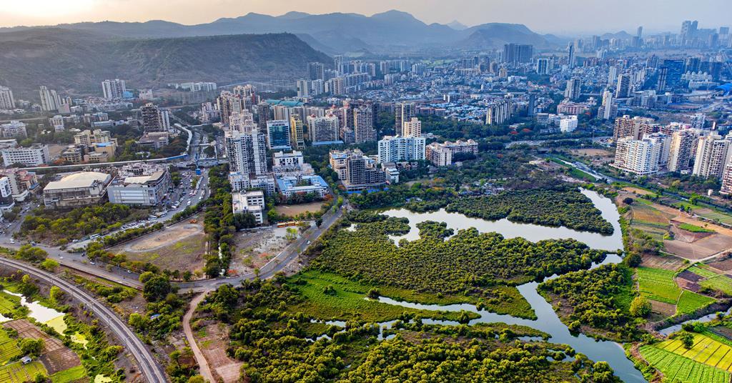 Solutions for India's sustainability challenge | Chemistry World