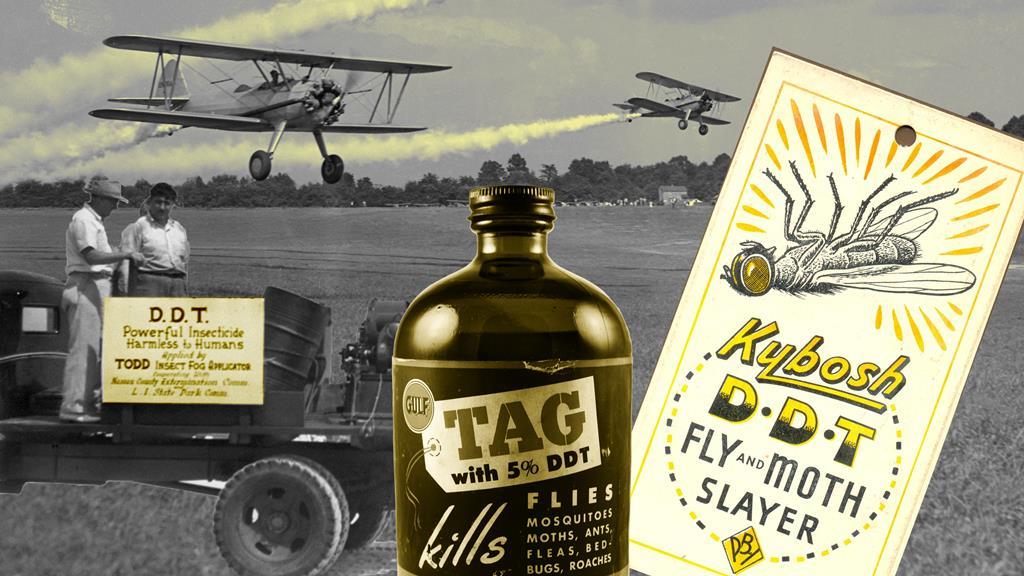 How DDT went from triumph to tragedy | Feature | Chemistry World