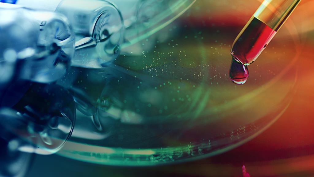 How to profit from recent innovations in small molecule drug discovery ...