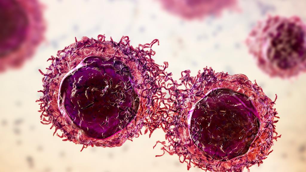 Replication failures cast doubt on some cancer studies | News ...