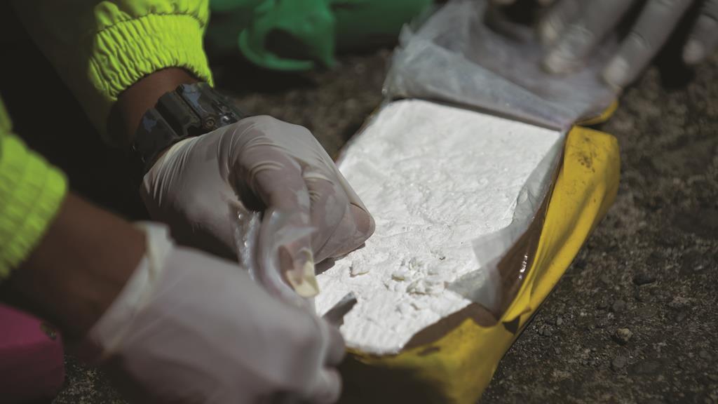 The great Danish coke off | Opinion | Chemistry World