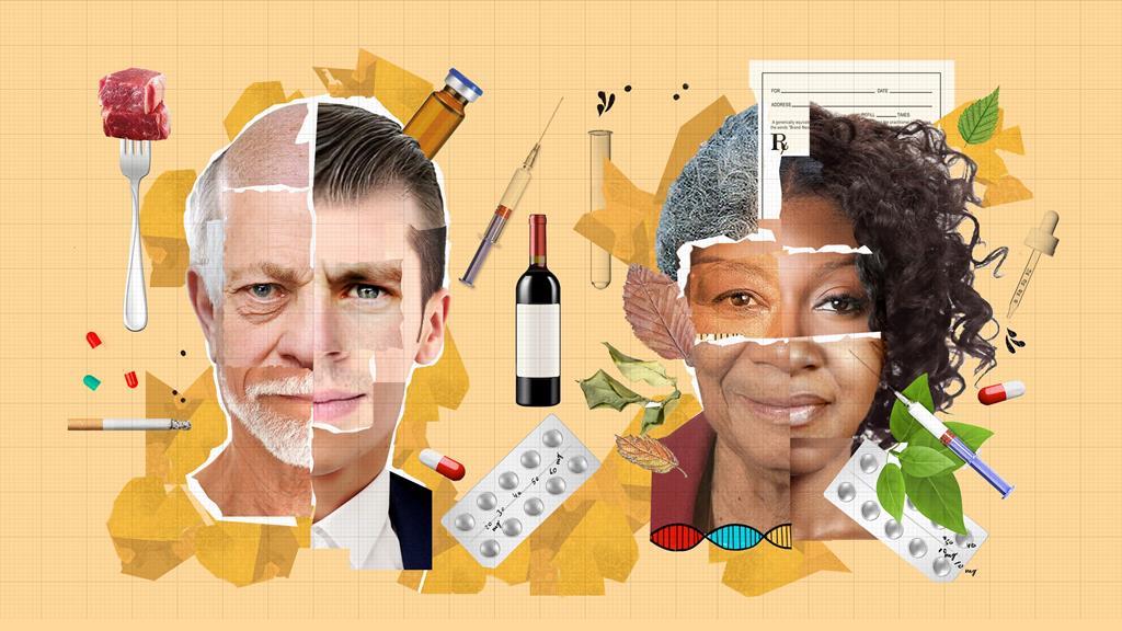 Can we live forever? | Feature | Chemistry World